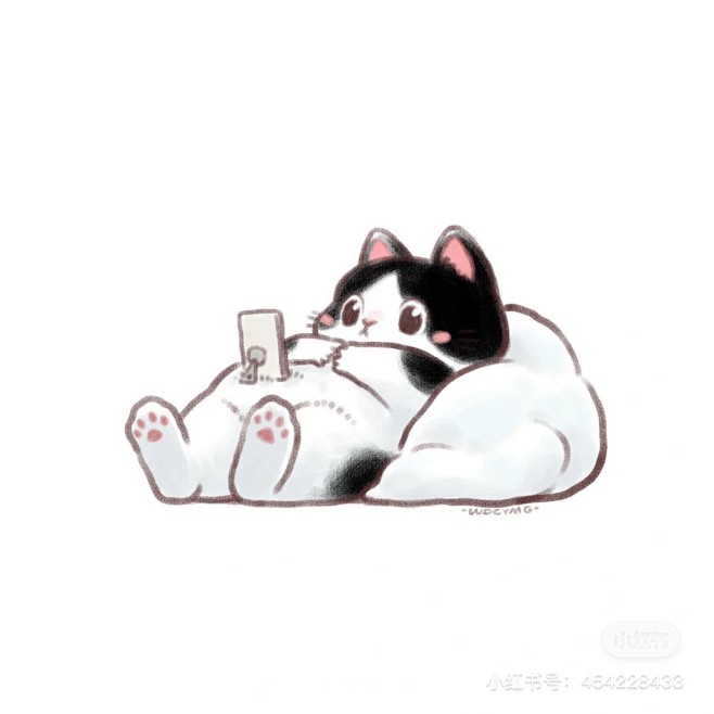 IMG_3527(20230719-224013)