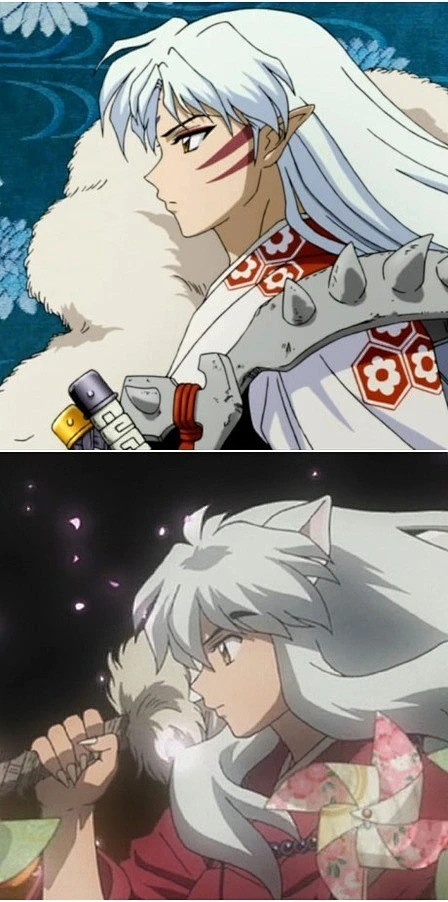 犬夜叉杀生丸-花瓣网