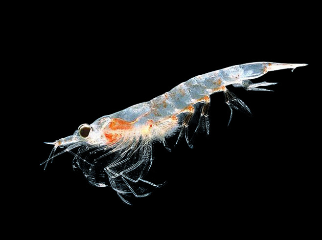 src=http%3A%2F%2Fimages