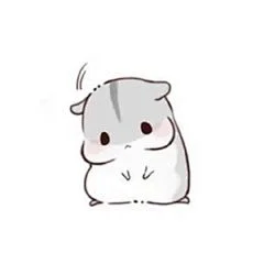 小仓鼠表情包_360图片-花瓣网