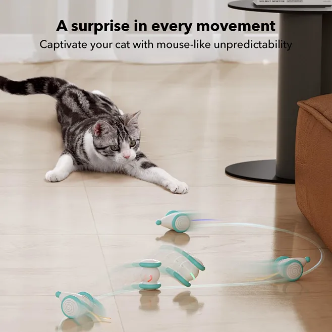 Amazon.com: PETLIBRO Interactive Cat Toy for Indoor Cats, [2023 ...