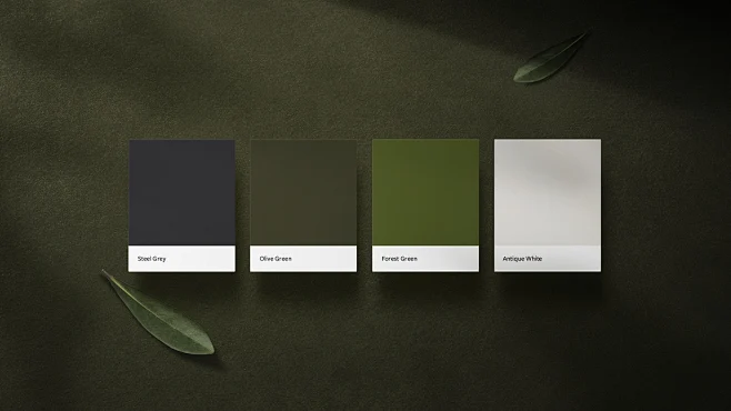 Color Palette-花瓣网
