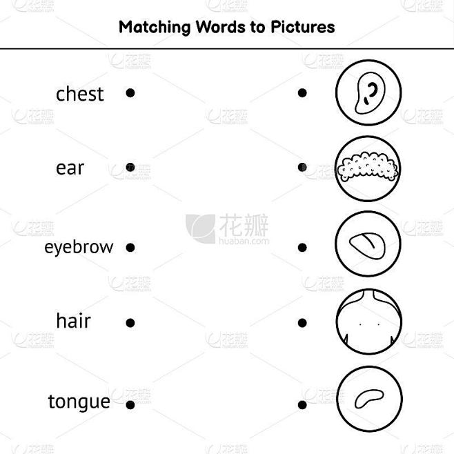 Connect the words with images activity page. Learn素材-花瓣网