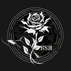 Item_Lightless_Mass-花瓣网