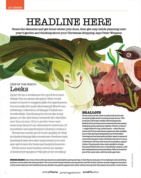 Jamie Oliver / Jamie Magazine : Selected illustrations from Jamie Magazine's gardening column.-花瓣网