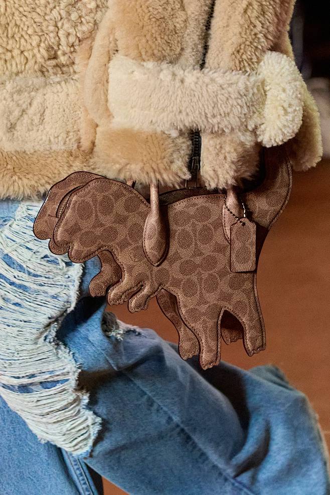 00051-coach-fall-2023-ready-to-wear-details-credit-gorunway