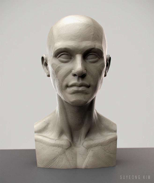 Female Anatomy Bust-花瓣网