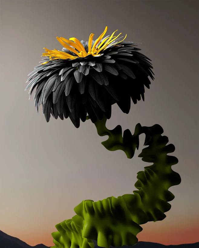 The Fleur-花瓣网