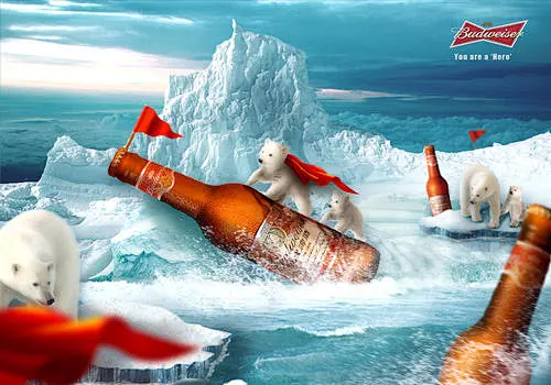 百威啤酒海报_百度图片搜索-花瓣网