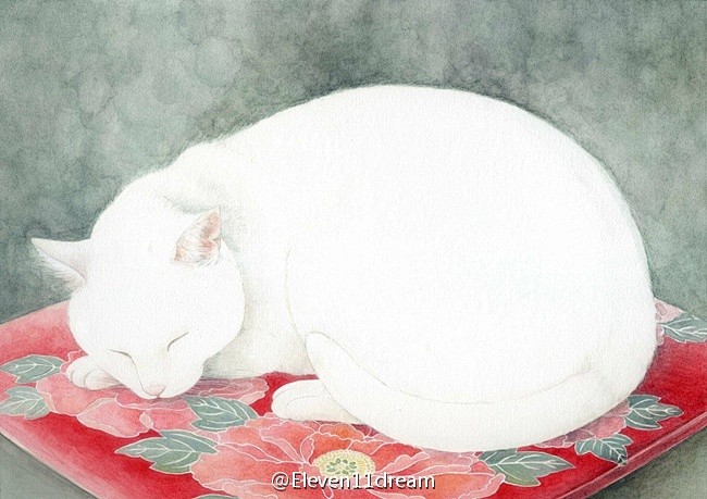 Midori Yamada 山田绿 插画作品