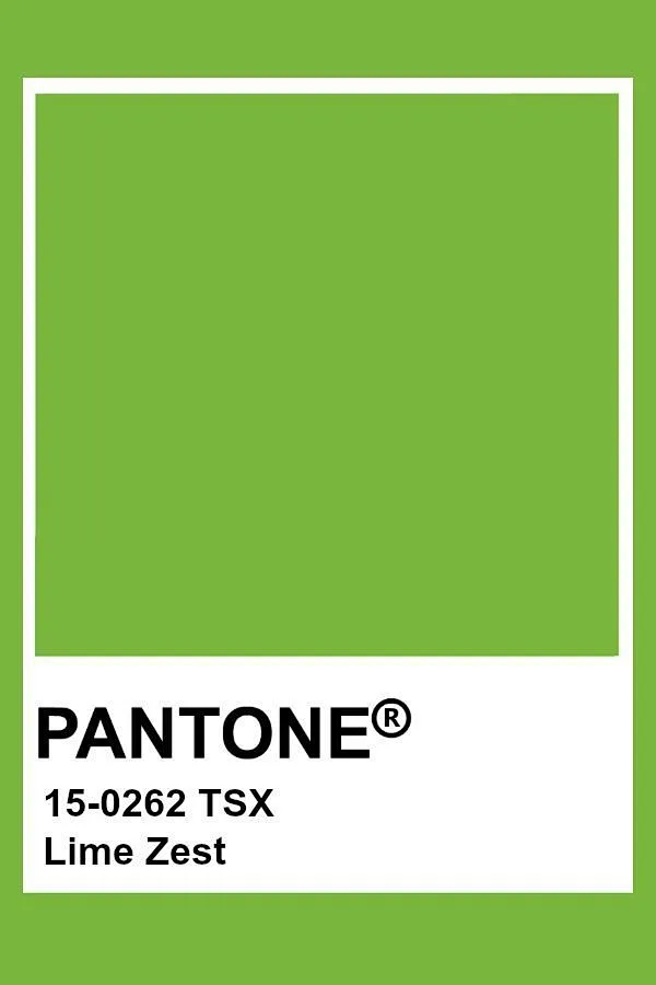 Lime Zest Pantone Color ∕ Wood Tailors Club(D49AA)-花瓣网
