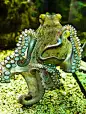 Cephalopod: planktonic octopus paralarva.-花瓣网