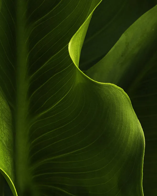 Curves by David Laurence Sharp on 500px-花瓣网