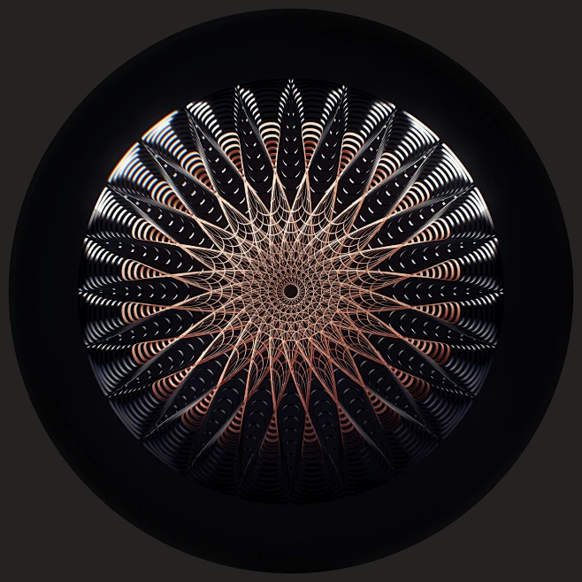 Unifield Series : Higher Dimensional Geometry Experiment-花瓣网