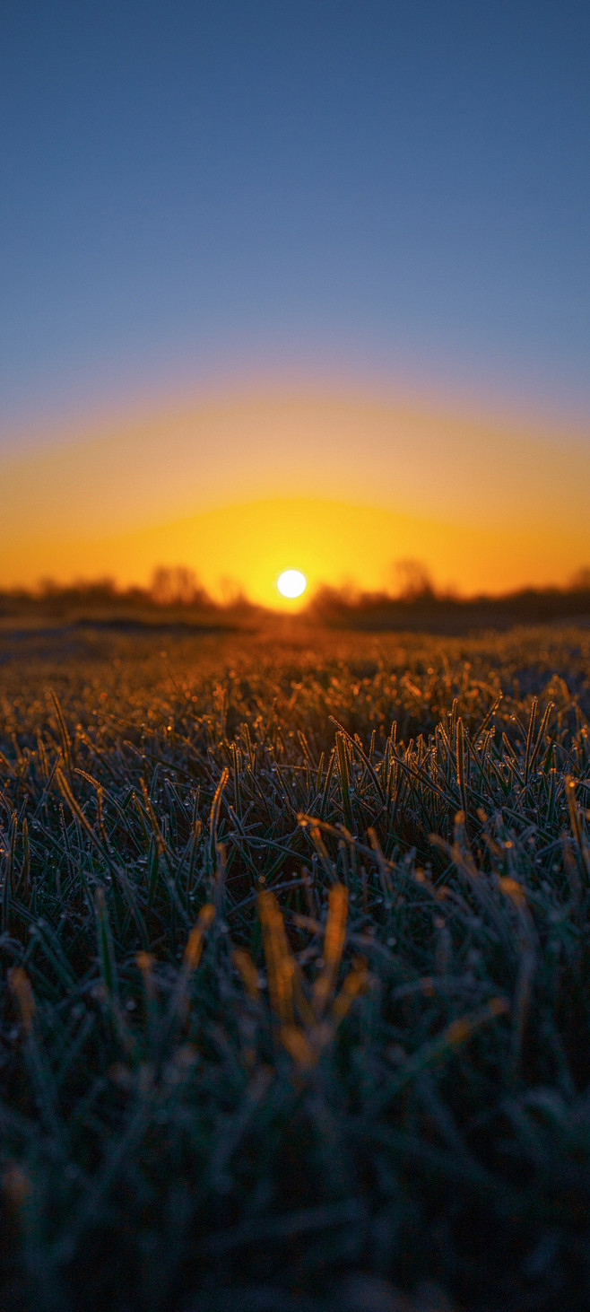 115862_全面屏壁纸_bizhi_bcoderss_com