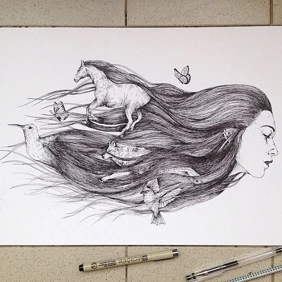 来自插画师 Alfred Basha 绘画作品一组 图片_插画图片素材-花瓣网