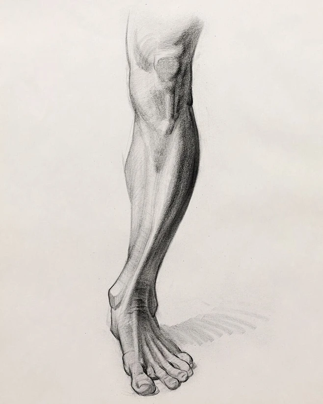 Drawing the Leg, Stan Prokopenko : Here’s anatomy assignment from the ...