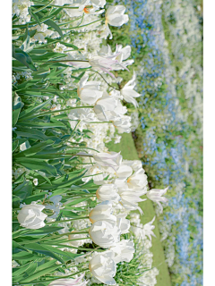 PPT | 底图、配图-花瓣网|陪你做生活的设计师 | image