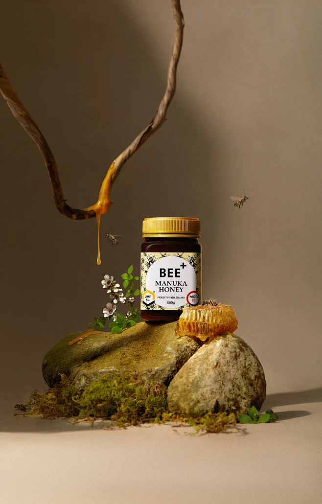 art direction Nature Photography still life still life photography-花瓣网