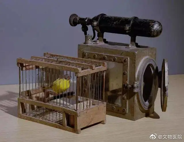 【抢救金丝雀】看起来好像一件蒸汽朋克装置艺术作品。但实际上它是一个“金丝雀复苏器（Canary Resuscitator，1920s）”，几个 ...
