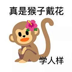 猴子搞笑_猴子搞笑图片下载-花瓣网