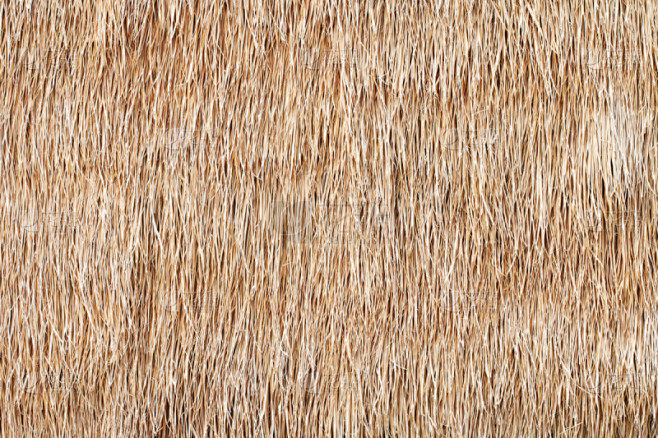 稻草,背景,茅屋屋顶,干草,农业,自然,图像,草,干的,无人