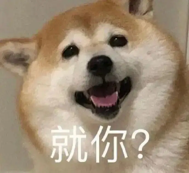 狗狗表情包 就你？