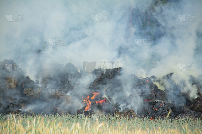 Burning straw stubble farmers when the harvest
