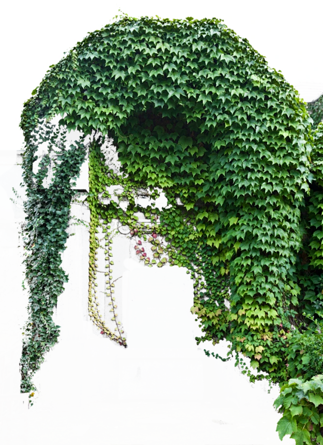 Moonglowlilly on DeviantArt : LIKES TO CREATE UNIQUE DESIGNS, VIA PHOTO ...