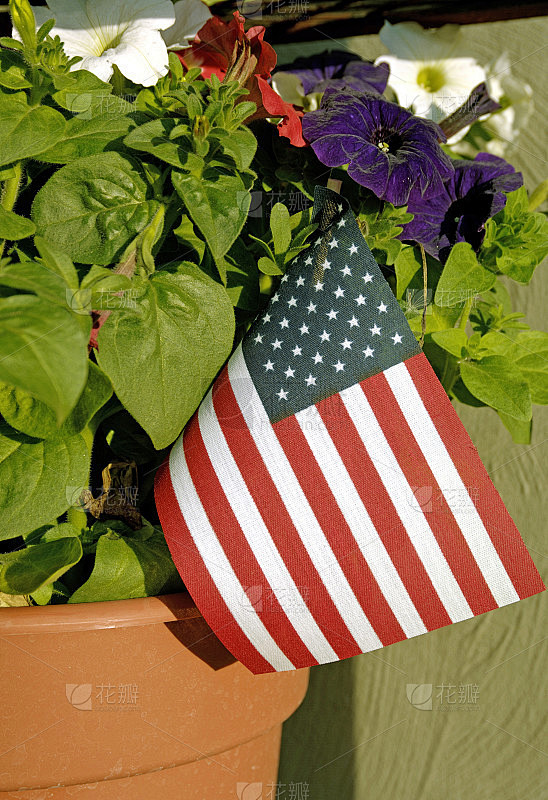 Flowers-Pot-Flag
