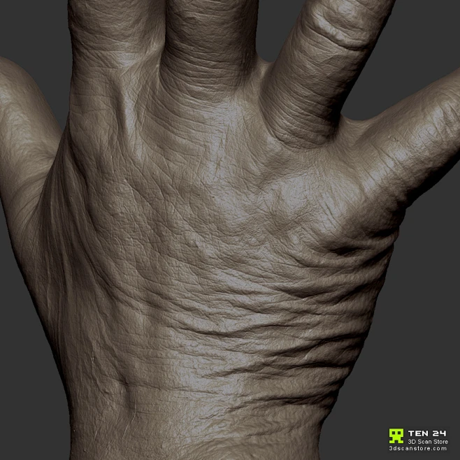 Reference Character Models - Page 10-花瓣网