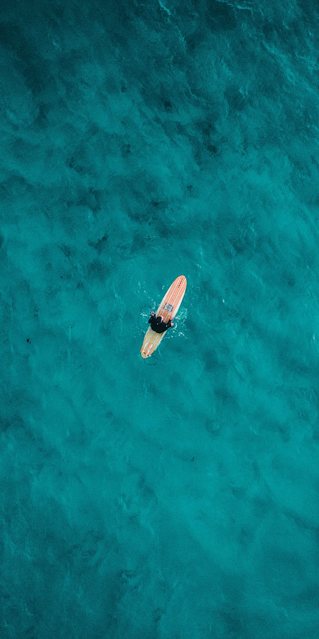 Cutisan的照片 - 微相册-花瓣网