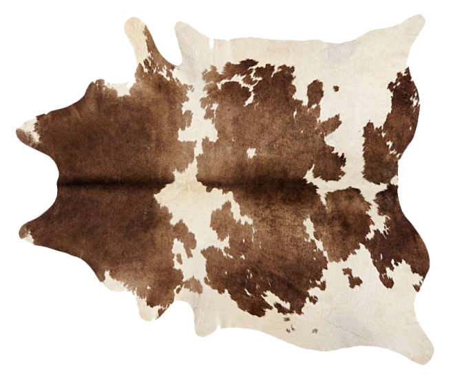 Cowhide-Rugs