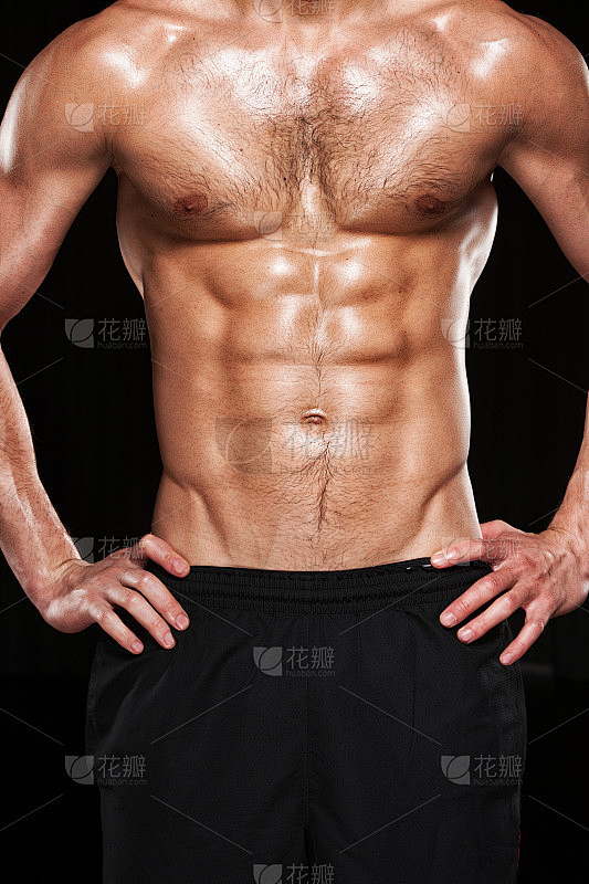 男性躯干肌肉。