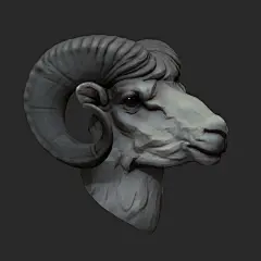 Doggo anatomy study-花瓣网