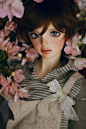 BJD｜LOFTER
