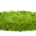 grass_podium_obj-花瓣网