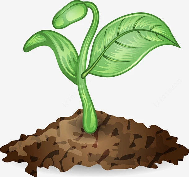 水彩土壤植物发芽png免抠素材_新图网 https://ixintu.com 发芽 水彩 卡通 手绘 设计 创意 新意 笔刷-花瓣网