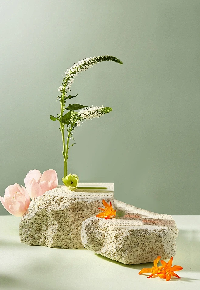 gd-hbimg (7)-花瓣网