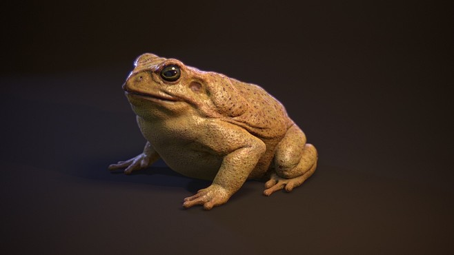 biserka-jakovljevic-tbrender-001