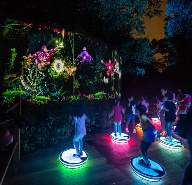 Rainforest Lumina, a multimedia night walk on the wild side | Moment ...