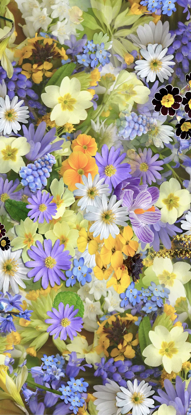 花 手机壁纸-花瓣网