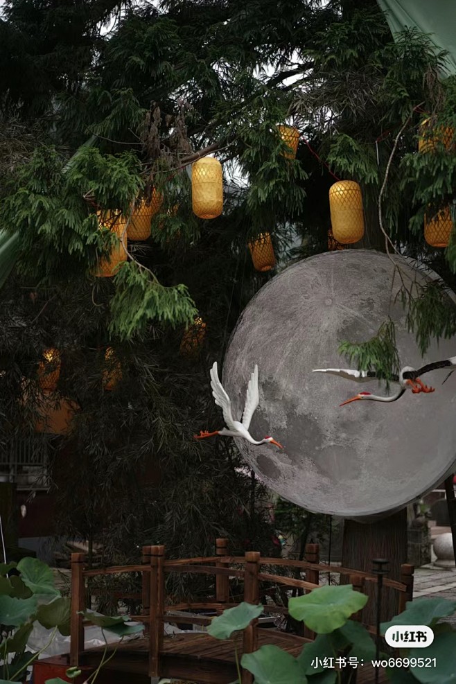 IMG_1983(20240311-145337)