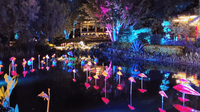 1633663994699302.gif-花瓣网