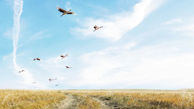 首页-camel旗舰店-天猫Tmall.com-花瓣网