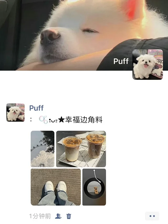 四图拼图设计排版 - 小红书搜索-花瓣网