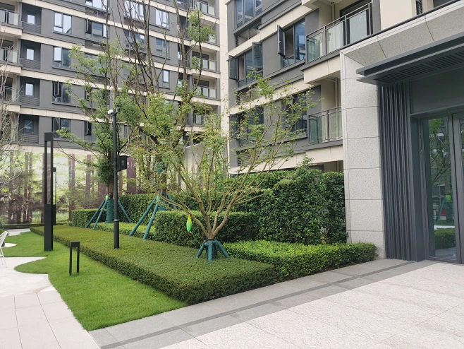 IMG_20211019_124146-花瓣网