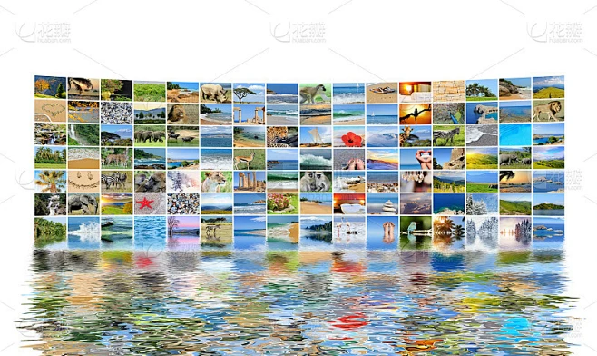 自然照片(动物，风景，海滩)素材-花瓣网