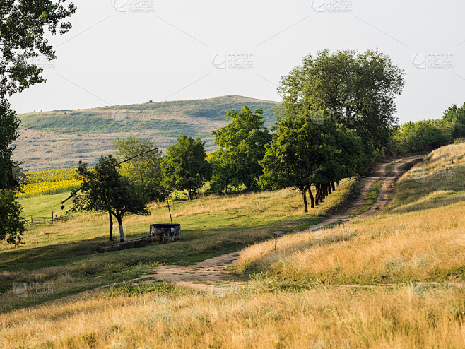 普通的乡村景观