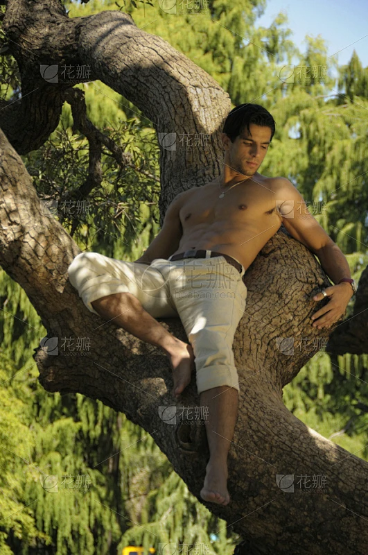 花瓣素材详情页-花瓣网